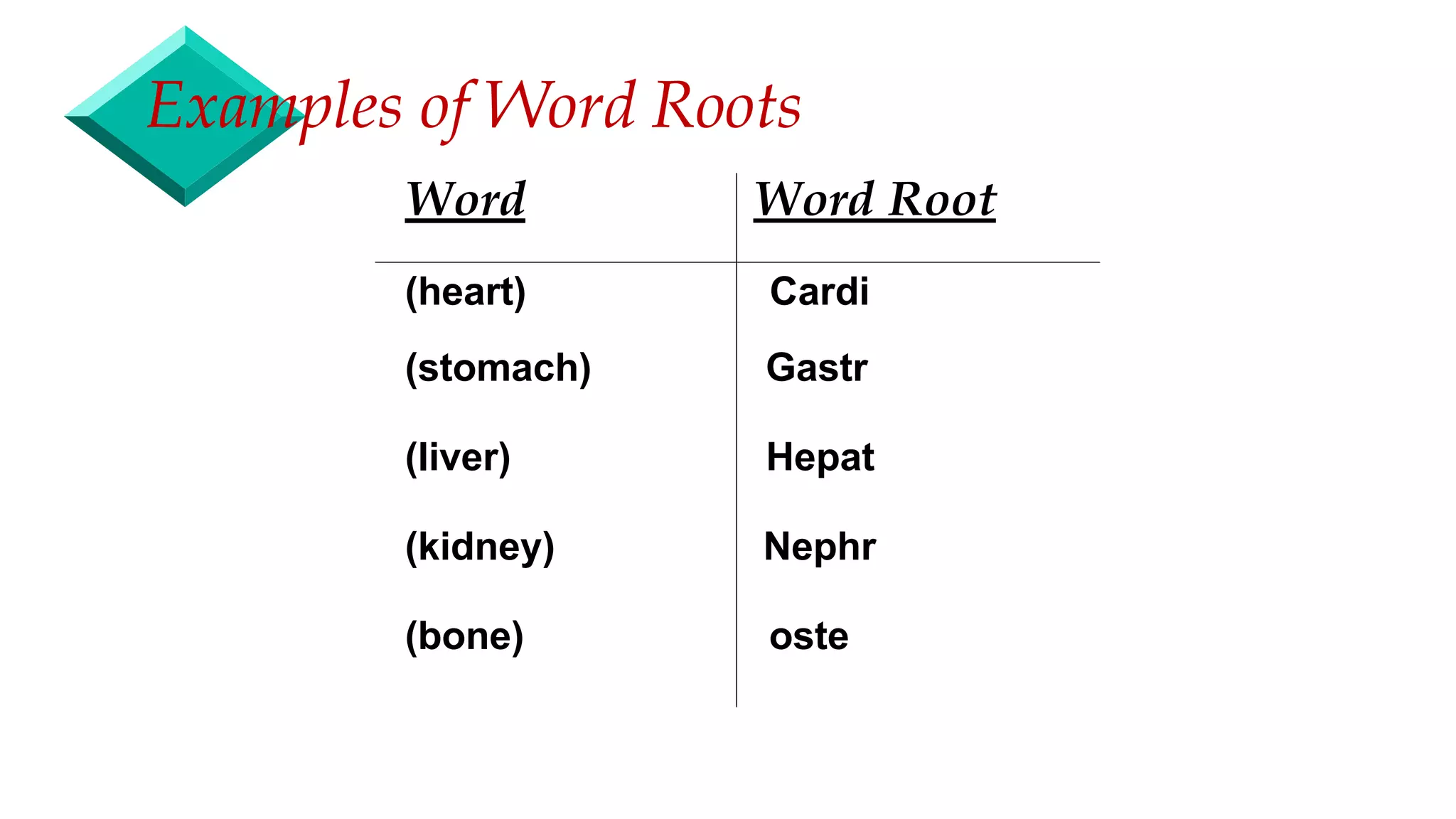 Medical Terminology | PDF