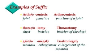 Medical Terminology | PDF