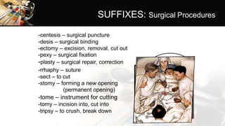 Medical Terminology | PDF