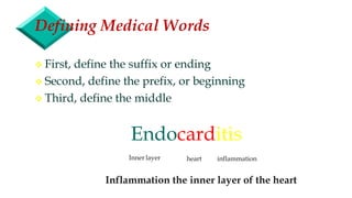Medical Terminology | PDF