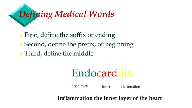Medical Terminology | PDF | Diseases and Conditions | Medical Health