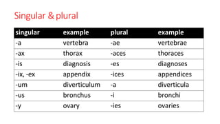 Medical Terminology | PDF