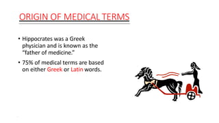 Medical Terminology | PDF