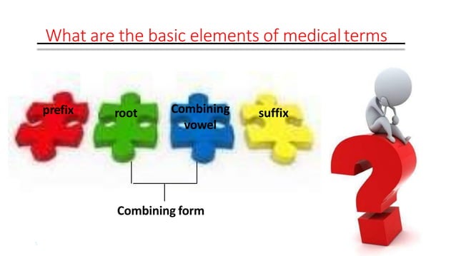Medical Terminology | PDF | Diseases and Conditions | Medical Health
