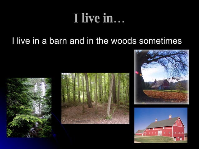 Who Ma I Raylyn | PPT