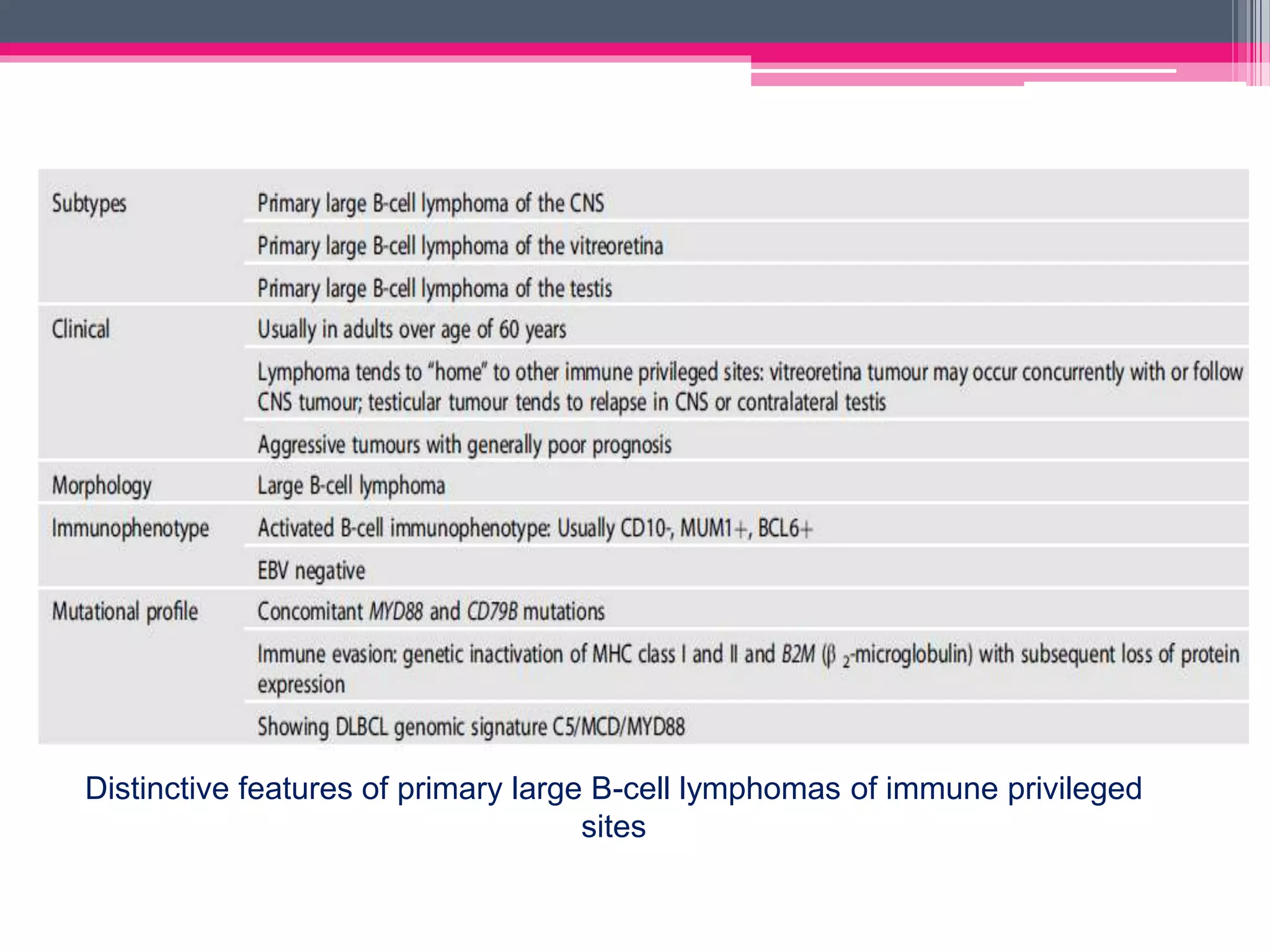 who 5th hematolymphoid B cell neoplasm.pptx
