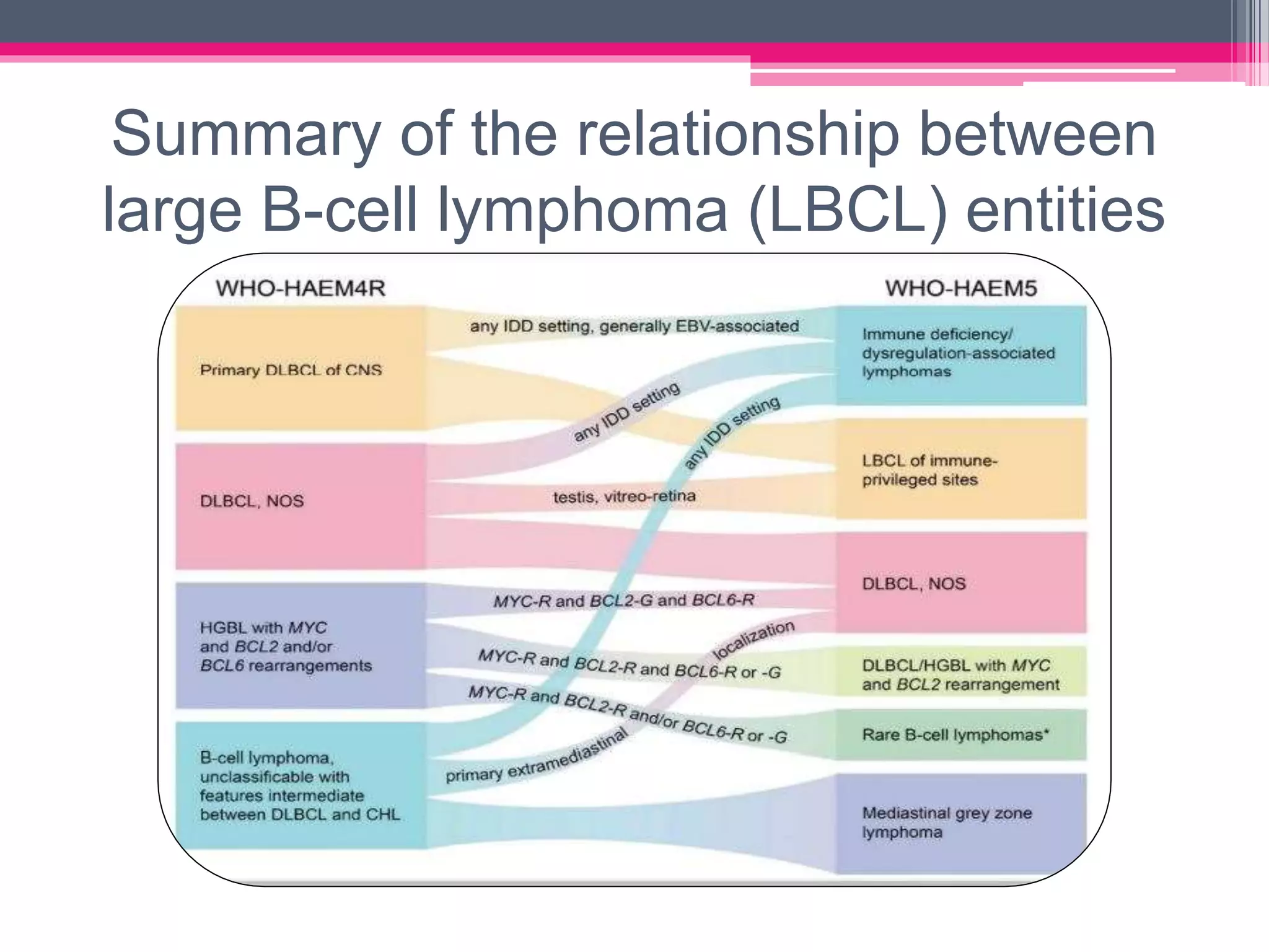 who 5th hematolymphoid B cell neoplasm.pptx