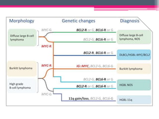 who 5th hematolymphoid B cell neoplasm.pptx