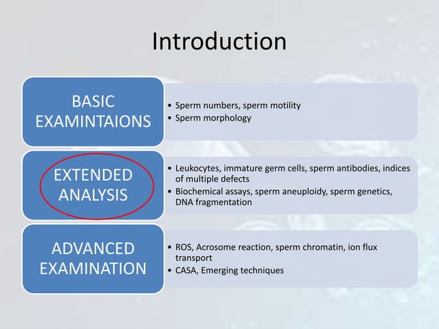 WHO 6TH EDITION UPDATE FOR SEMEN ANALYSIS | PPTX | Infertility | Reproductive Health
