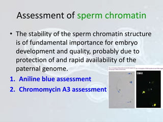 WHO 6TH EDITION UPDATE FOR SEMEN ANALYSIS | PPTX