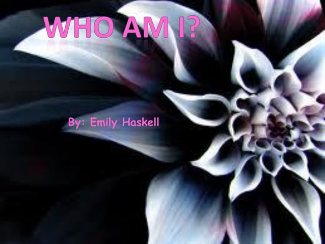 Who Am I | PPT