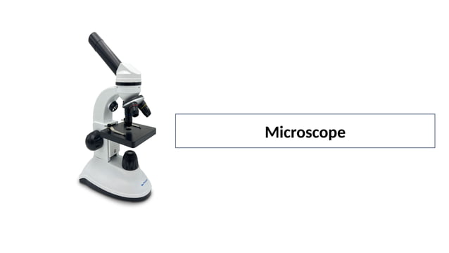 Challenges in teaching Science; lack of laboratory tools and equipment ...