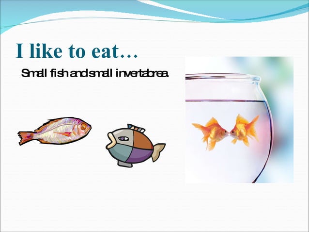 Who+Am+I+Template(2) | PPT