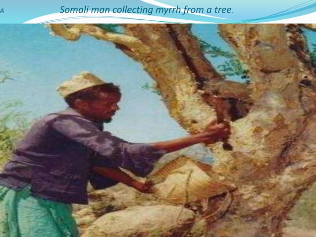 THE ORİGİN OF SOMALİA | PPT