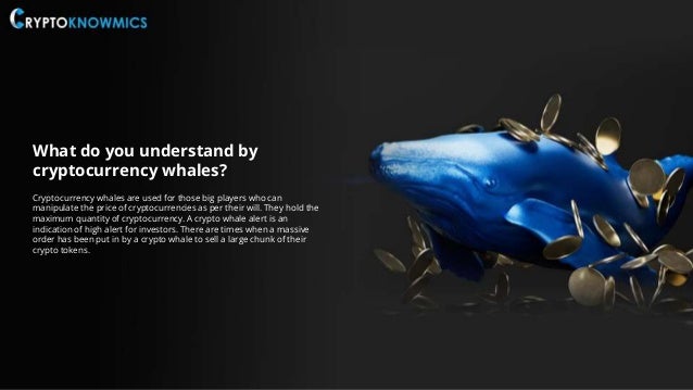 Who are crypto whales_ What influence do they have_.pptx