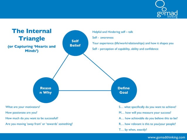 Who Are Go Mad Thinking | PPT | Business | Business and Finance