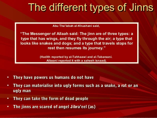 Who are the jinn