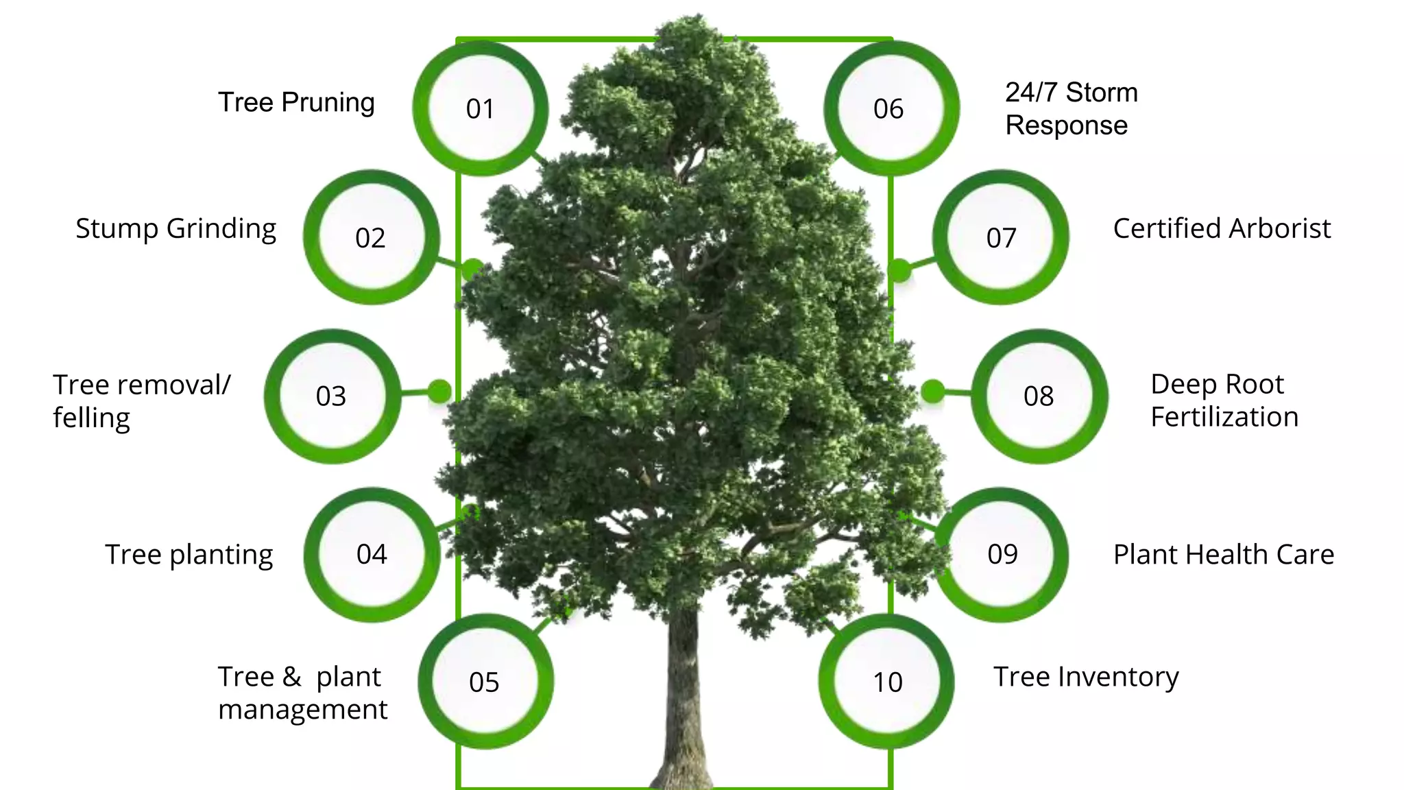 Who benefits from trees and how | PPT