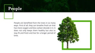 Who benefits from trees and how | PPTX