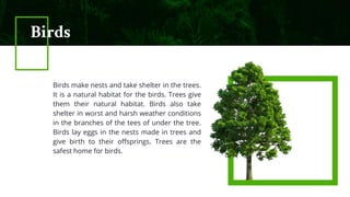 Who benefits from trees and how | PPTX