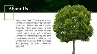 Who benefits from trees and how | PPT