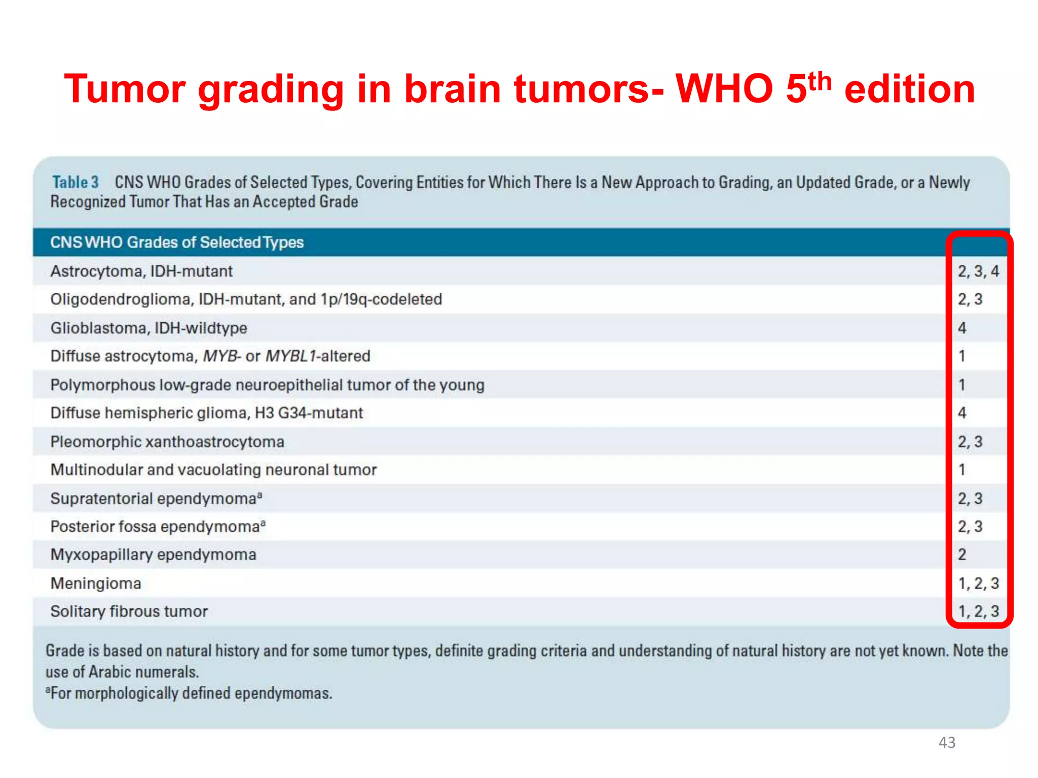 WHO BRAIN TUMOR CLASSIFICATION 5th EDITION | PPTX