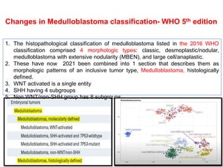 WHO BRAIN TUMOR CLASSIFICATION 5th EDITION | PPTX