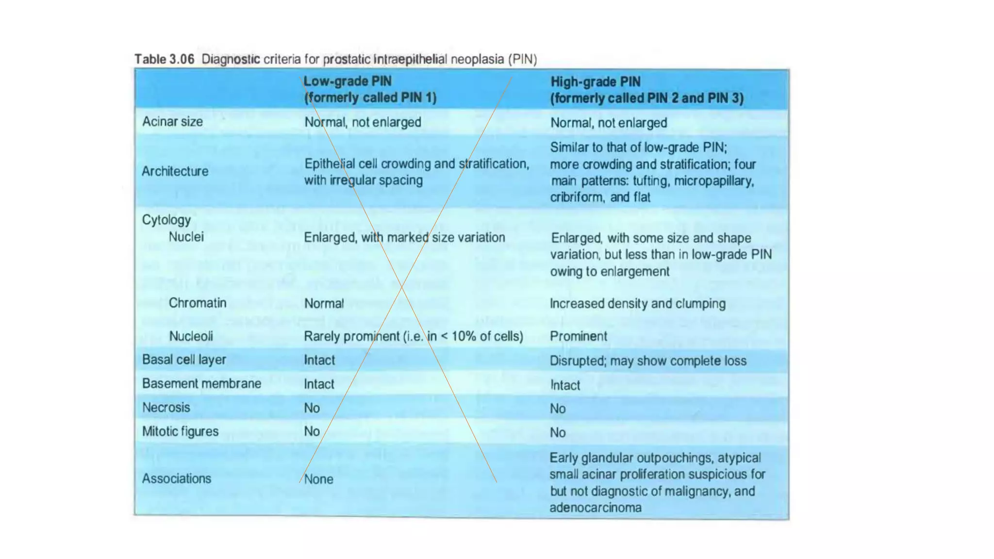 WHO Classification of Tumors fifth edition.pptx