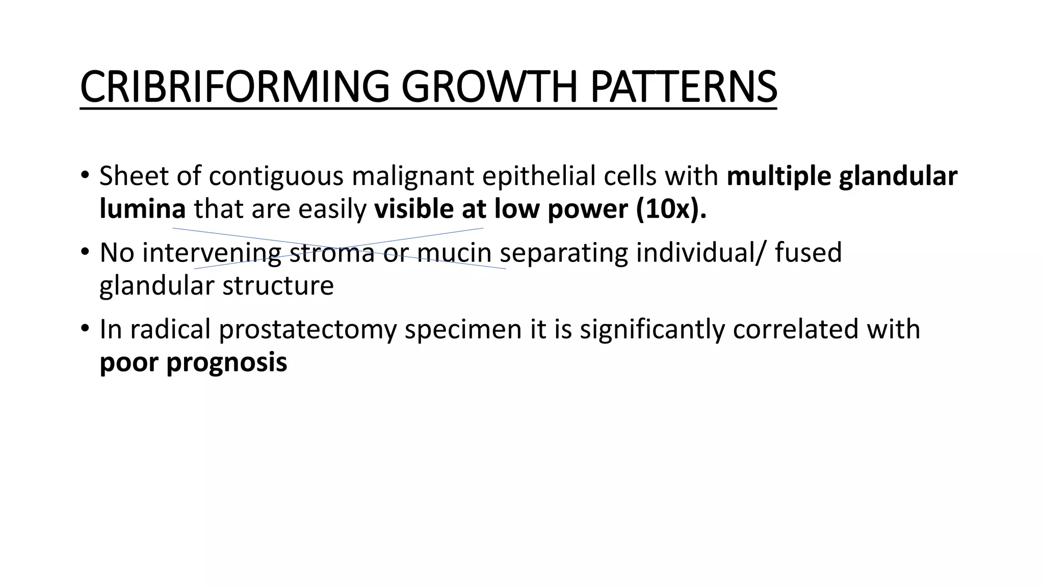 WHO Classification of Tumors fifth edition.pptx