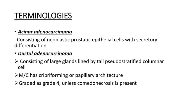 WHO Classification of Tumors fifth edition.pptx | Endocrine and ...