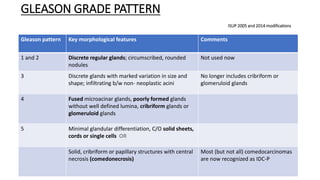 WHO Classification of Tumors fifth edition.pptx