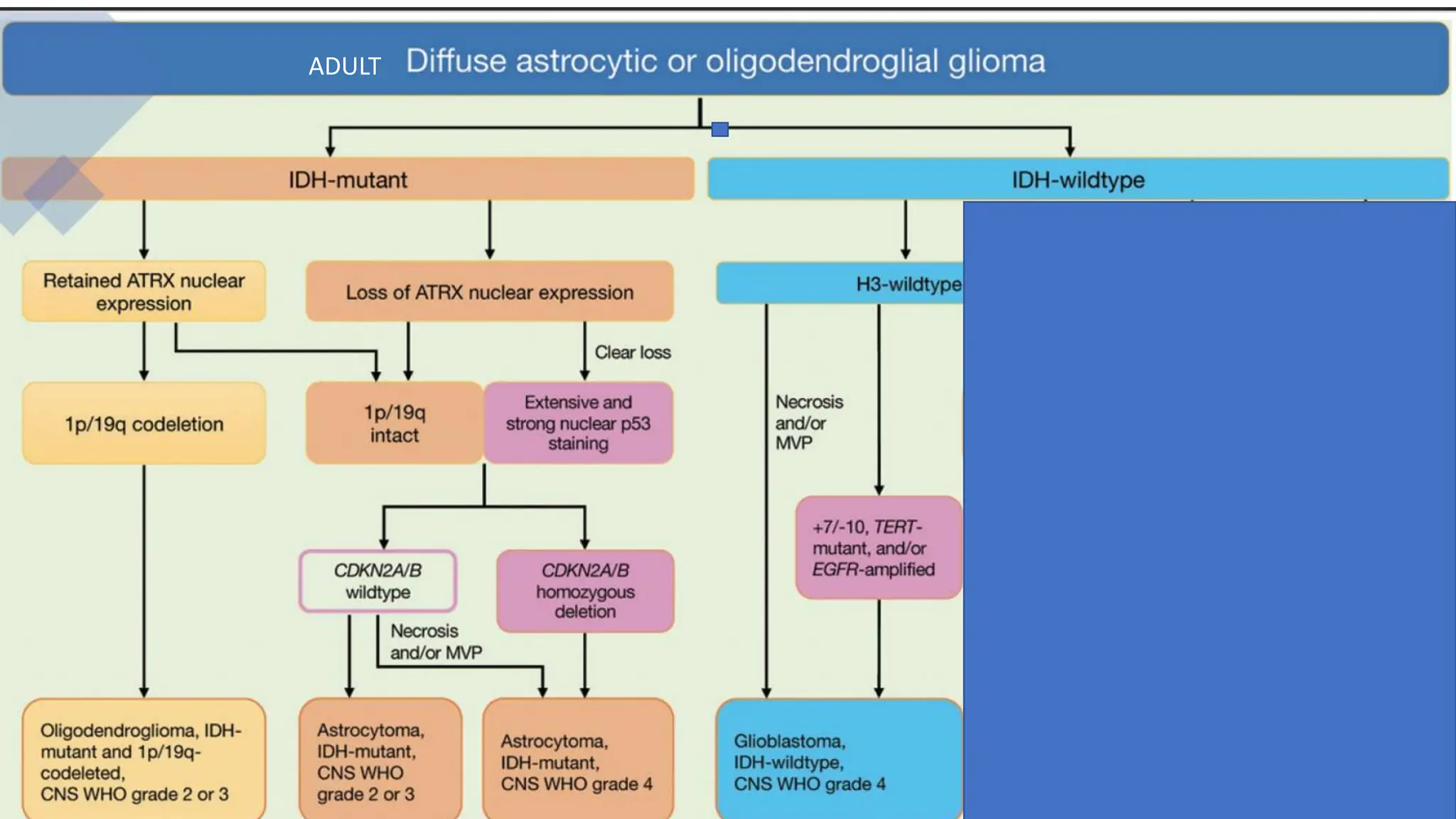 WHO CNS Classification of Tumors 2021-2.pptx
