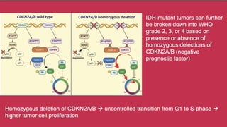 WHO CNS Classification of Tumors 2021-2.pptx