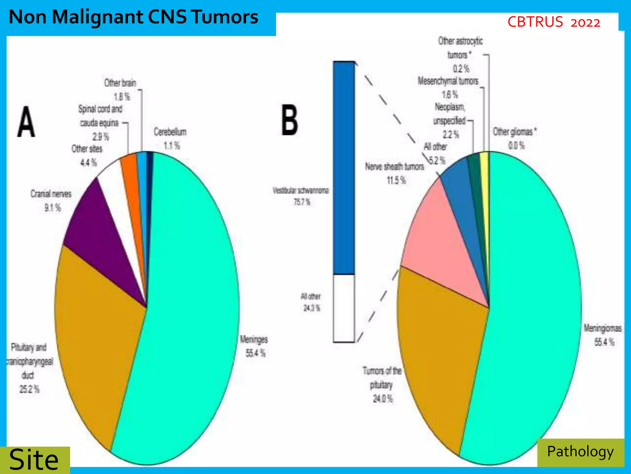 WHO CNS Tumor Classification 2021.pptx