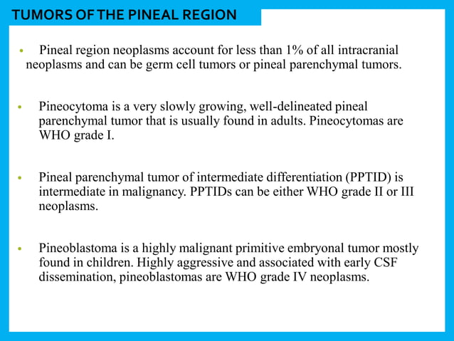 WHO CNS Tumor Classification 2021.pptx | Brain and Nervous System ...