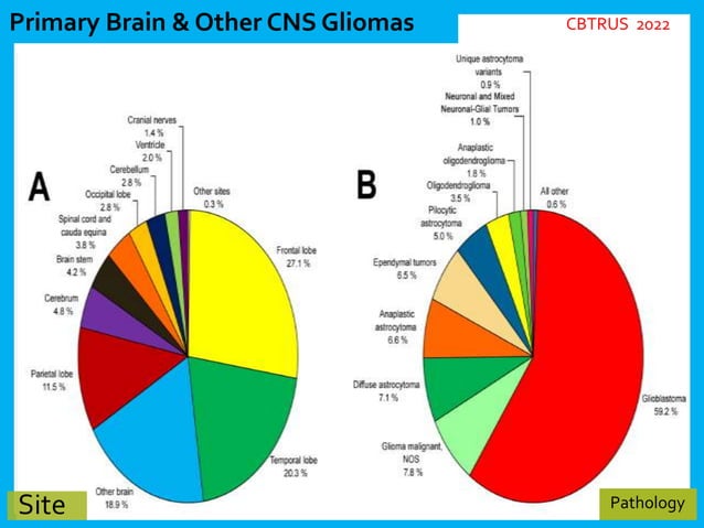 WHO CNS Tumor Classification 2021.pptx | Brain and Nervous System ...