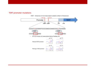 who criteria gbm.ppt