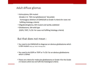 who criteria gbm.ppt