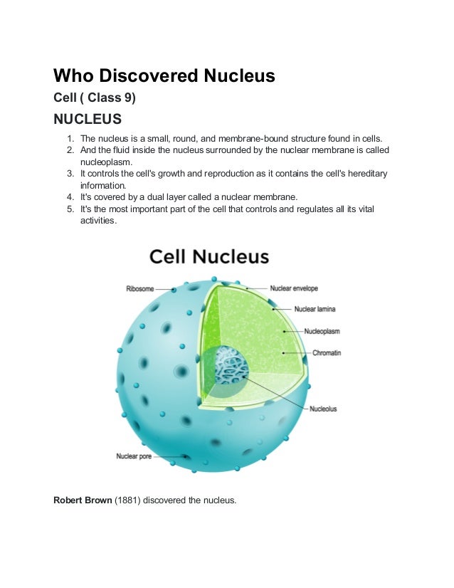 Who Discovered Nucleus Get complete PDF | PDF