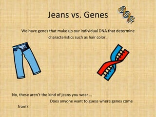 Who Do I Look Like | PPT