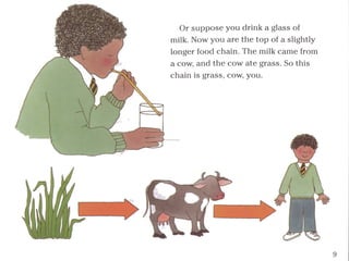 Who eats what | PPT