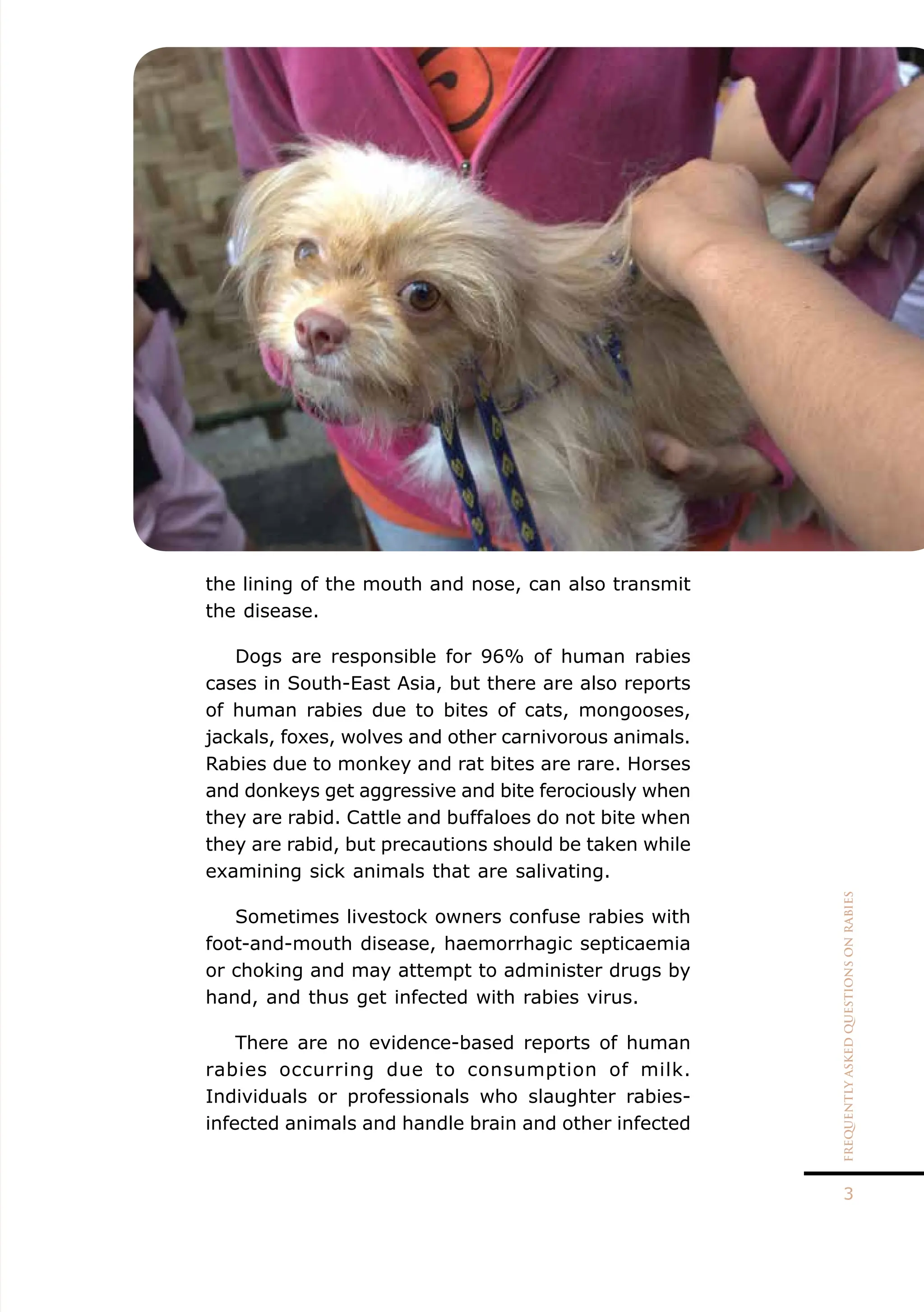 wHO faq for rabies prophylaxis for dog bites | PDF