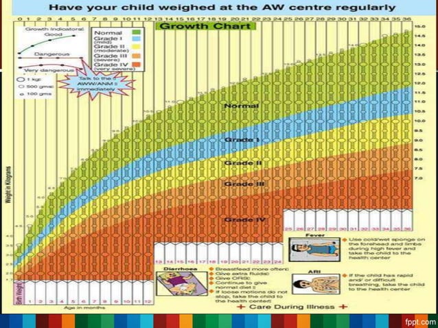 WHO Growth Chart | PPT