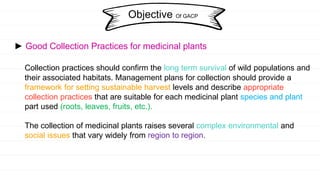 WHO guideline on GACP.pptx