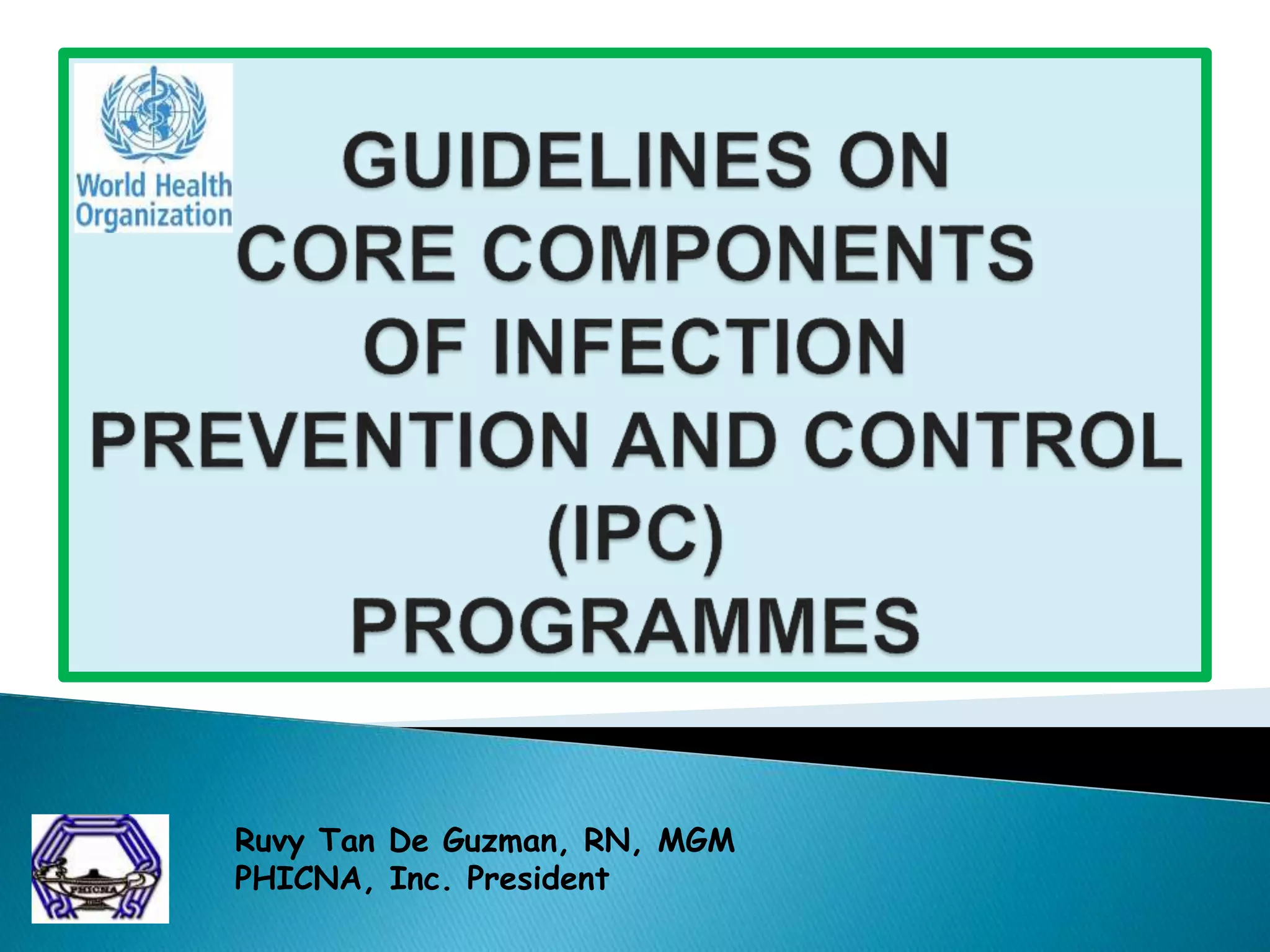WHO Guidelines on Core Components of Infection Prevention and Control ...