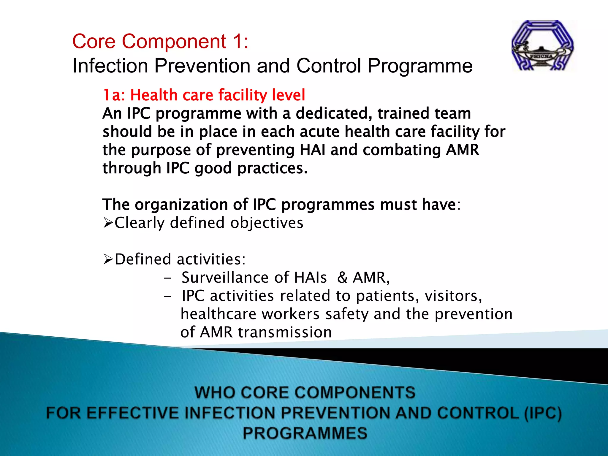 WHO Guidelines on Core Components of Infection Prevention and Control ...