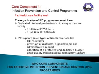 WHO Guidelines on Core Components of Infection Prevention and Control ...