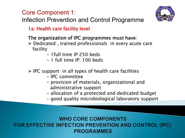 WHO Guidelines on Core Components of Infection Prevention and Control ...