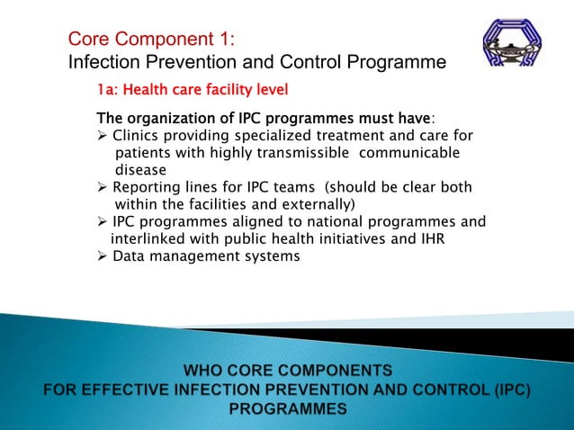 WHO Guidelines on Core Components of Infection Prevention and Control ...