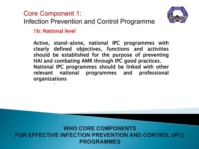 WHO Guidelines on Core Components of Infection Prevention and Control ...